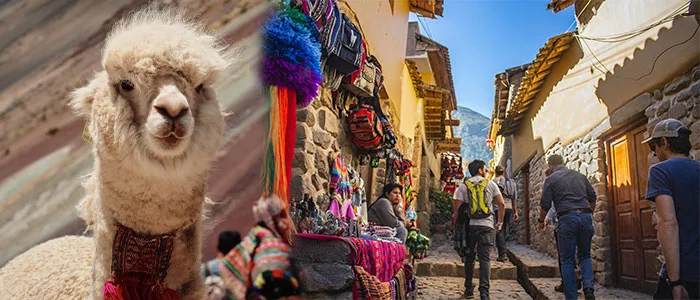 Tours en Peru - Machu Picchu Travel Tours